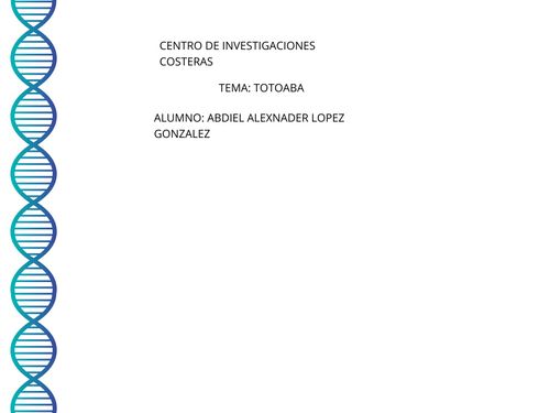 Book Creator | TOTOABAS