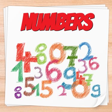 Book Creator | Numbers