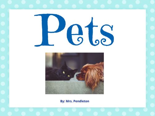 Book Creator | Pets