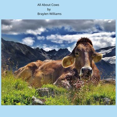 Book Creator | All About Cows