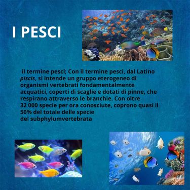 Book Creator | i pesci