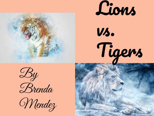 Book Creator | Lion Vs. Tigers