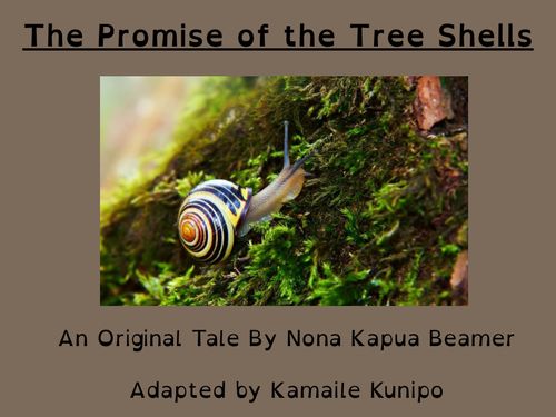 Book Creator | The Promise of the Tree Shells