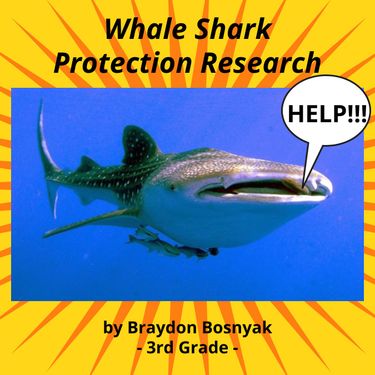 Book Creator | Whale Shark Protection Research