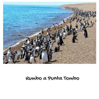 Book Creator | Viaje a Punta Tombo