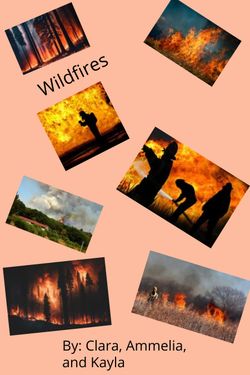 Book Creator | Wildfires