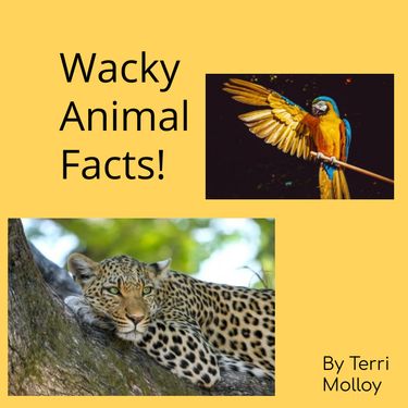 Book Creator | Wacky Animal Facts