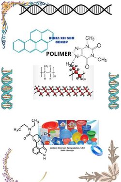 Book Creator | POLIMER