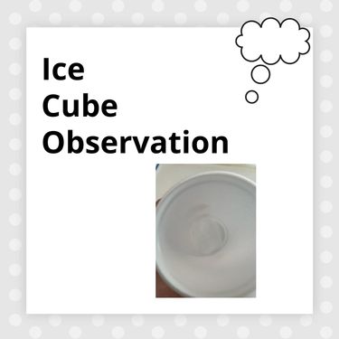 Book Creator | Ice Cube Observation