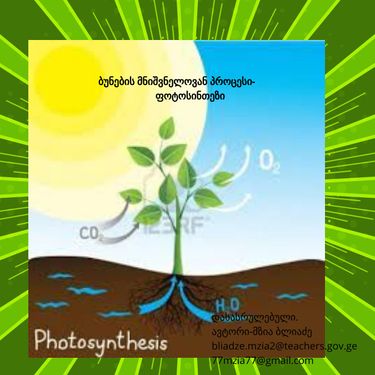 Book Creator | ra aris fotosinTezi