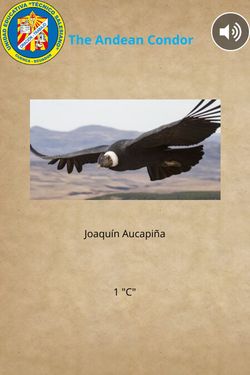 Book Creator | The Andean Condor