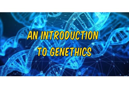 Book Creator | Introduction to GenEthics