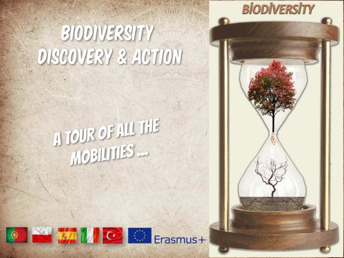 Book Creator | Erasmus Biodiversity Discovery&Action