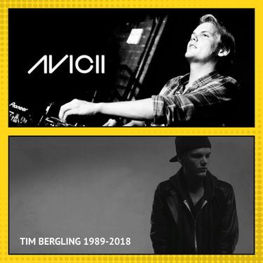 Book Creator | Avicii - Tim Berg
