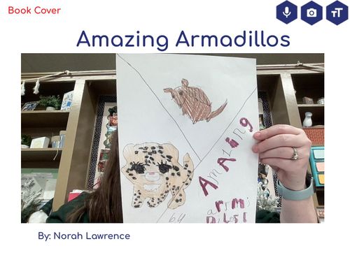 Book Creator | Amazing Armadillos