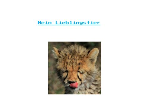 Book Creator | Mein Lieblingstier
