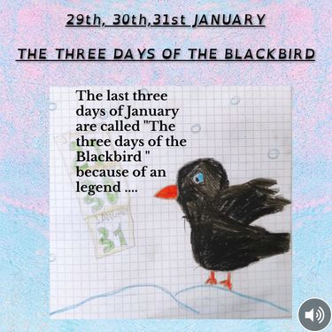 Book Creator | THE THREE DAYS OF THE BLACKBIRD