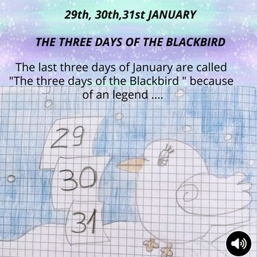 Book Creator | THE THREE DAYS OF THE BLACKBIRD
