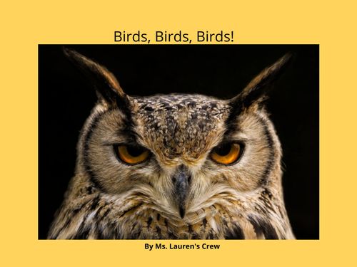 Book Creator | Birds, Birds, Birds