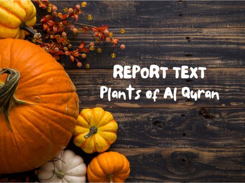 Book Creator | Report Text-Plants