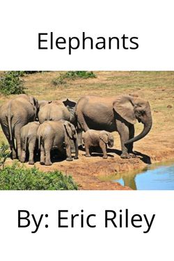 Book Creator | Elephants