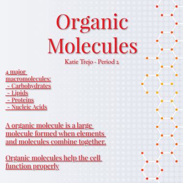 Book Creator | Organic Molecules