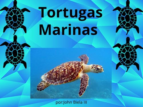 Book Creator | Tortugas Marinas