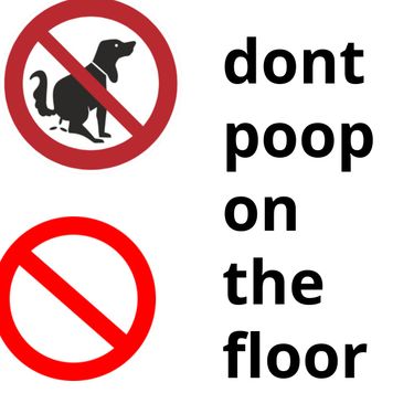 Book Creator | I you poop on the floor