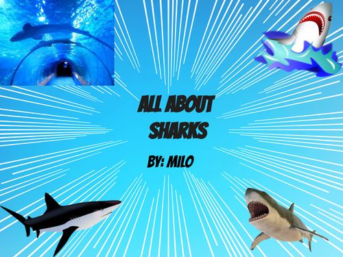 Book Creator | All About Sharks