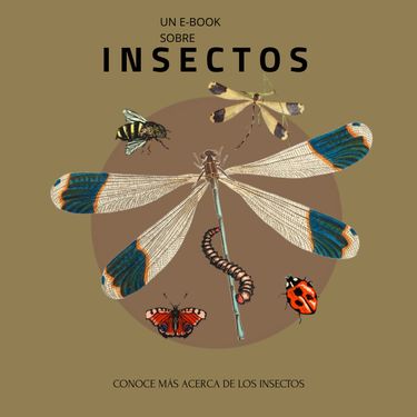 Book Creator | E-book sobre bichos