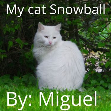 Book Creator | Snowball