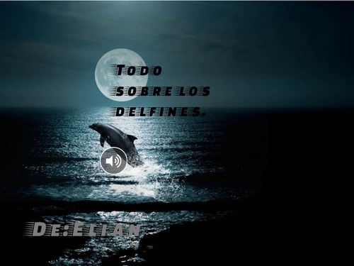Book Creator | Delfines