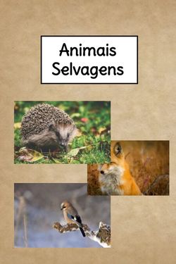 Book Creator | Animais Selvagens