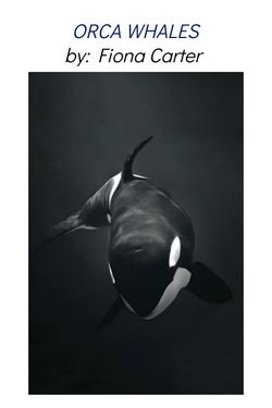 Book Creator | ORCA WHALES