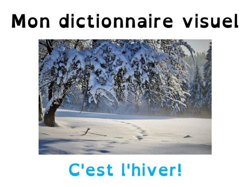 Book Creator | Mon dictionnaire visuel- C'est l'hiver!