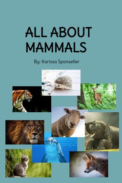 Book Creator | All About Mammals