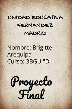 Book Creator | proyecto final