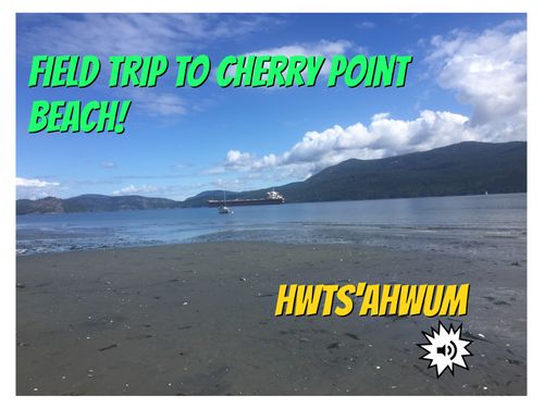 Book Creator | (copy) Field Trip to Cherry Point