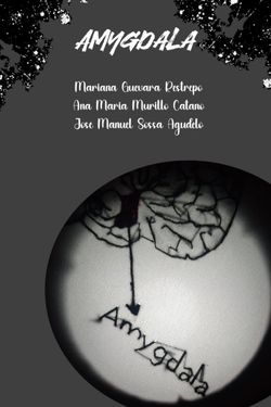 Book Creator | Amygdala