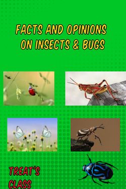 Book Creator | Facts and Opinions on insects and bugs