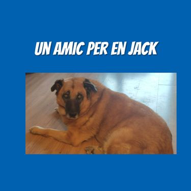 Book Creator | Un amic per en Jack