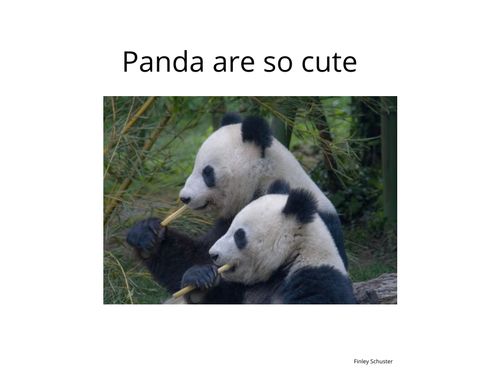 Book Creator | pandas