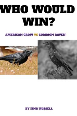 Book Creator | Who Would Win? Crows vs. Ravens