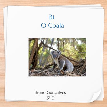 Book Creator | Bi animal