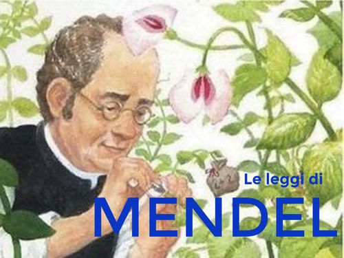 Book Creator | Le leggi di Mendel