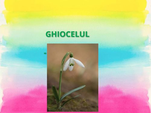 Book Creator | Ghiocelul