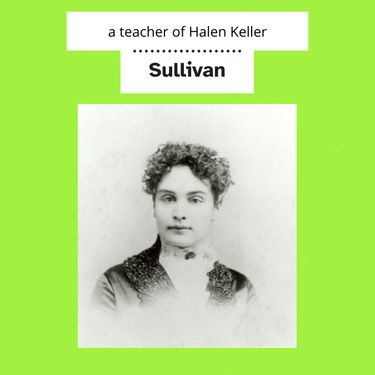 Book Creator | sullivan