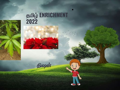 Book Creator | P4 ENRICHMENT TIISHEN