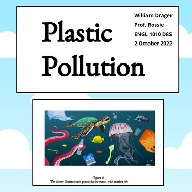 Book Creator | Plastic Pollution