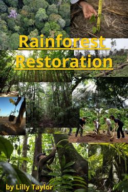 Book Creator | Rainforest Restoration book
